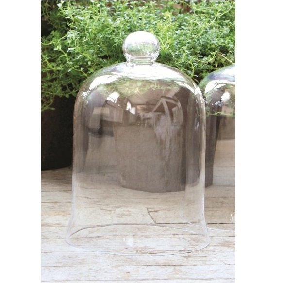 Extra Large Bell Jar Cloche - Timeless Barn