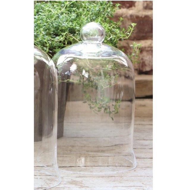 Tall Bell Jar Cloche - Timeless Barn