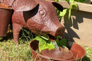 Pig Fountain with Side Planters - Timeless Barn