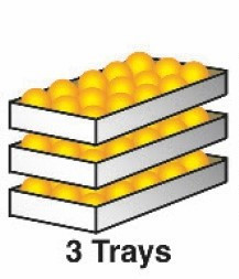 3 Tray Pack Navel Oranges