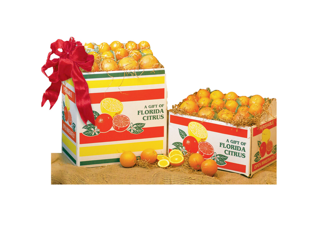 4 Tray Pack Navel Oranges