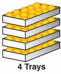 4 Tray Pack Valencia Oranges Box