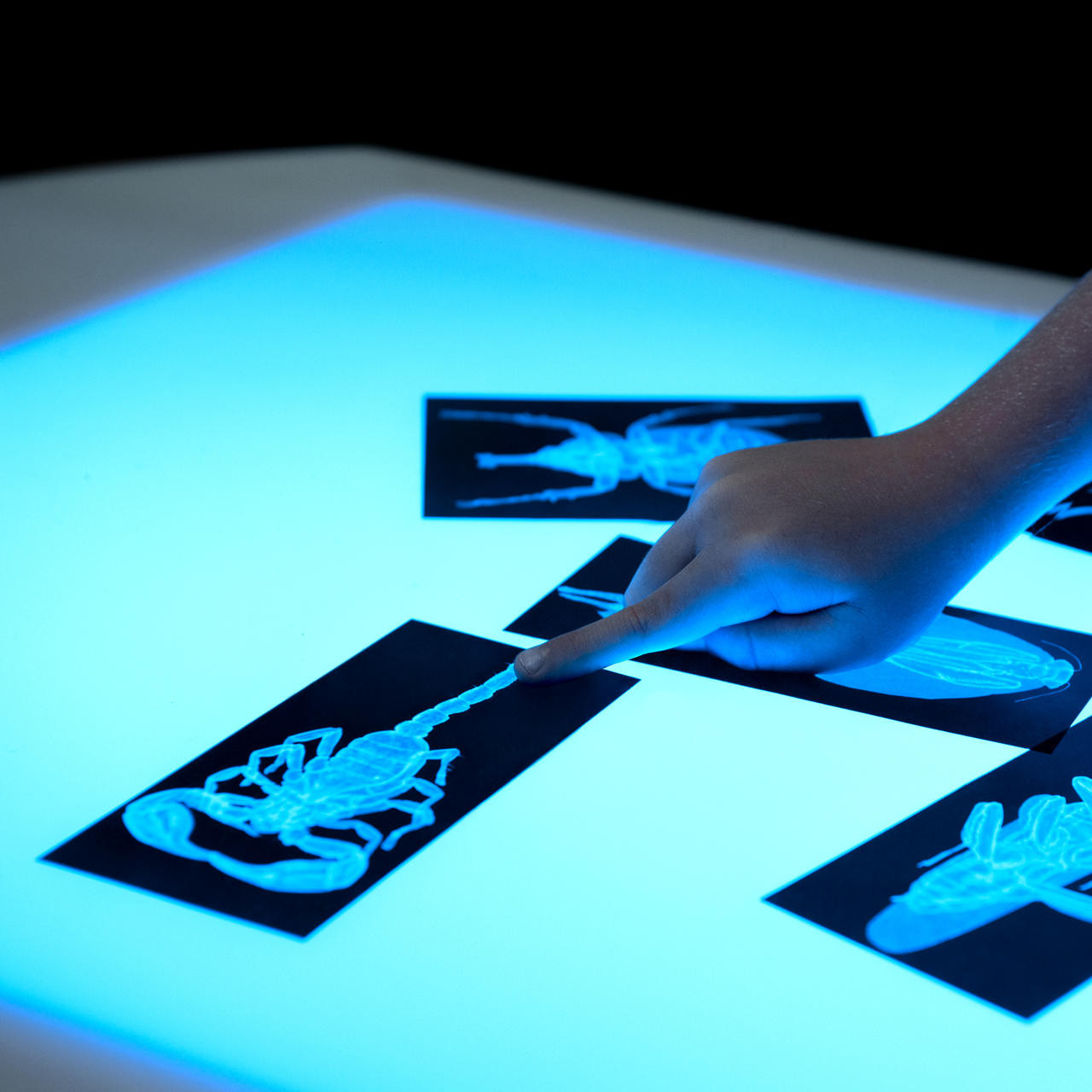 Brilliant Light Table 48" - WoodDesigns