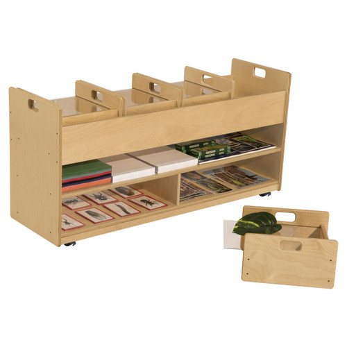 Sensory and Physical Activity