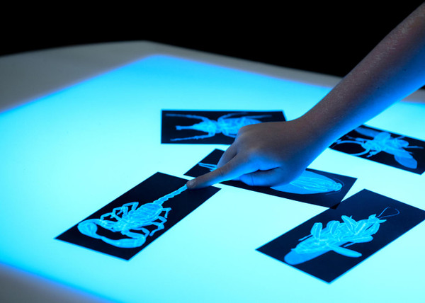 Brilliant Light Table 48" with Storage - WoodDesigns