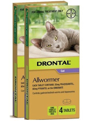 Intestinal Wormers For Cats | Sierra Pet Meds