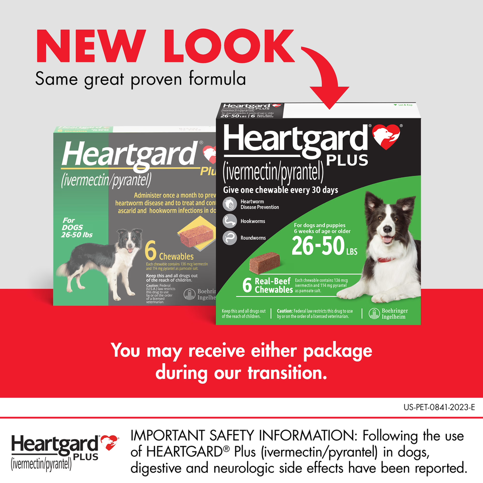 Heartgard Plus Chewables for Dogs 26-50 lbs (12-22 kg) - Green 6 Chews ...