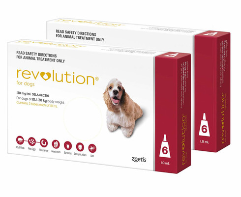 Revolution for Dogs 20.1-40 lbs (10.1-20 kg) - Red 12 Doses | Sierra Pet Meds