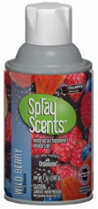 DEOD METER WILD BERRY CH5316 7 OZ. - Clean Touch Inc