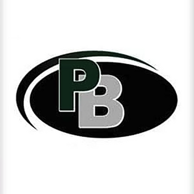 Peerless Boilers 91428 Vent Pressure Switch, REV 0