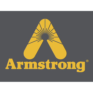 Armstrong International A5345 Thermostatic Air Vent | Ships Fast