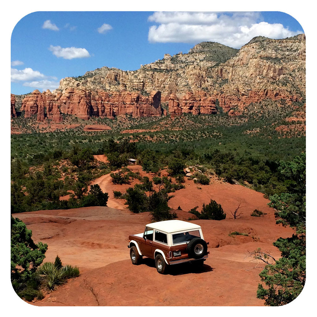 FORD BRONCO COASTER SET | PURPLE LEOPARD BOUTIQUE