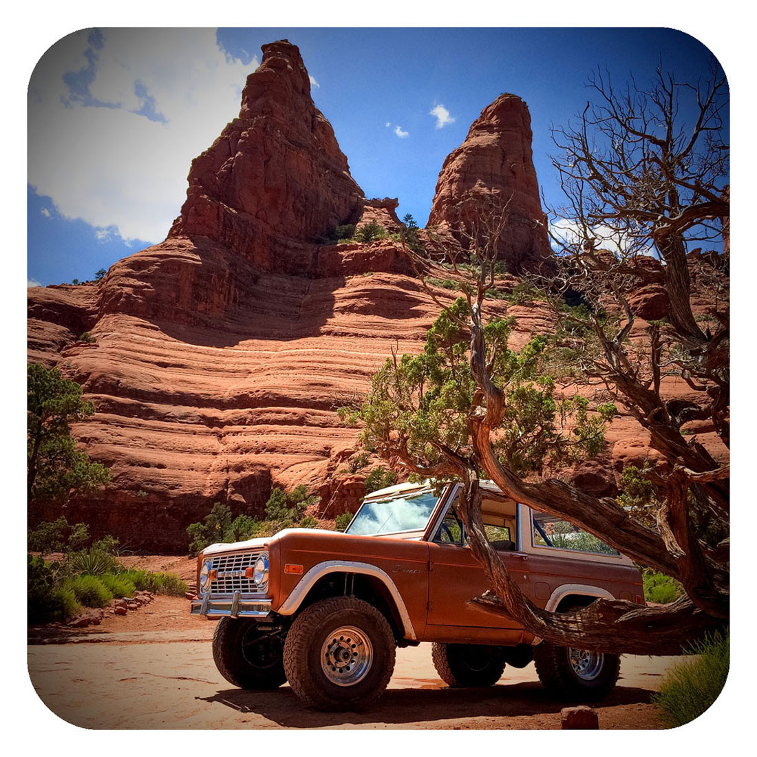 FORD BRONCO COASTER SET | PURPLE LEOPARD BOUTIQUE