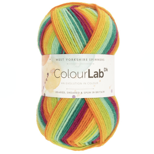 ColourLab -- DK Weight - 100% Wool - CeCe's Wool