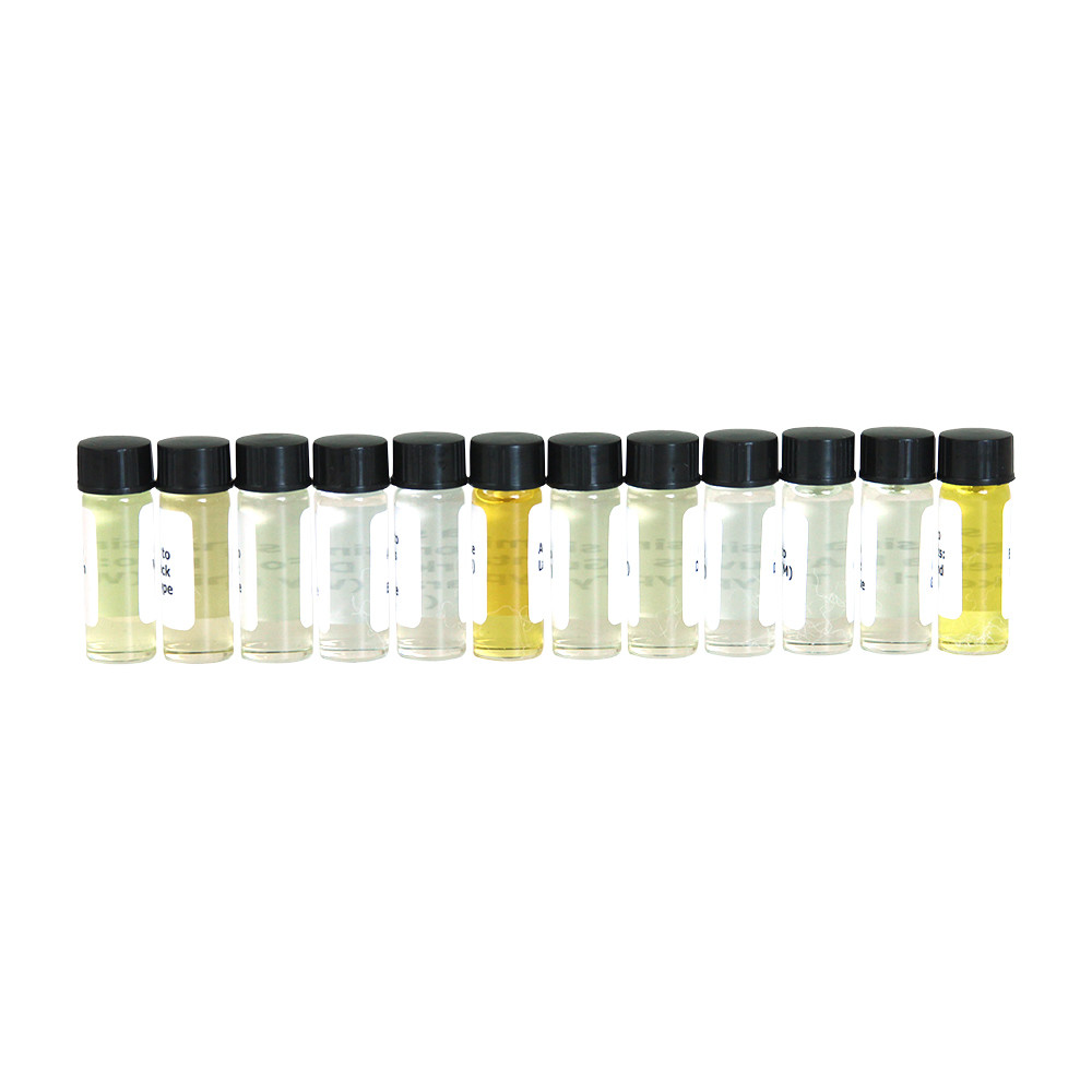 Set Of 12 New Edition Fragrance Oils - CUSTOMER FAVORITES Dram (1/8oz ...