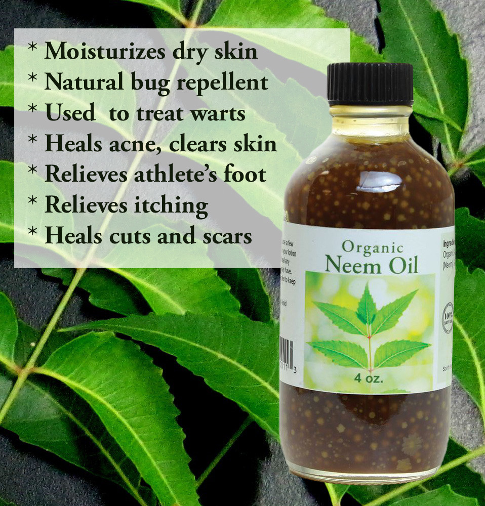 Neem Oil (Organic) - 4 oz. - Healing Oils - African Health & Beauty