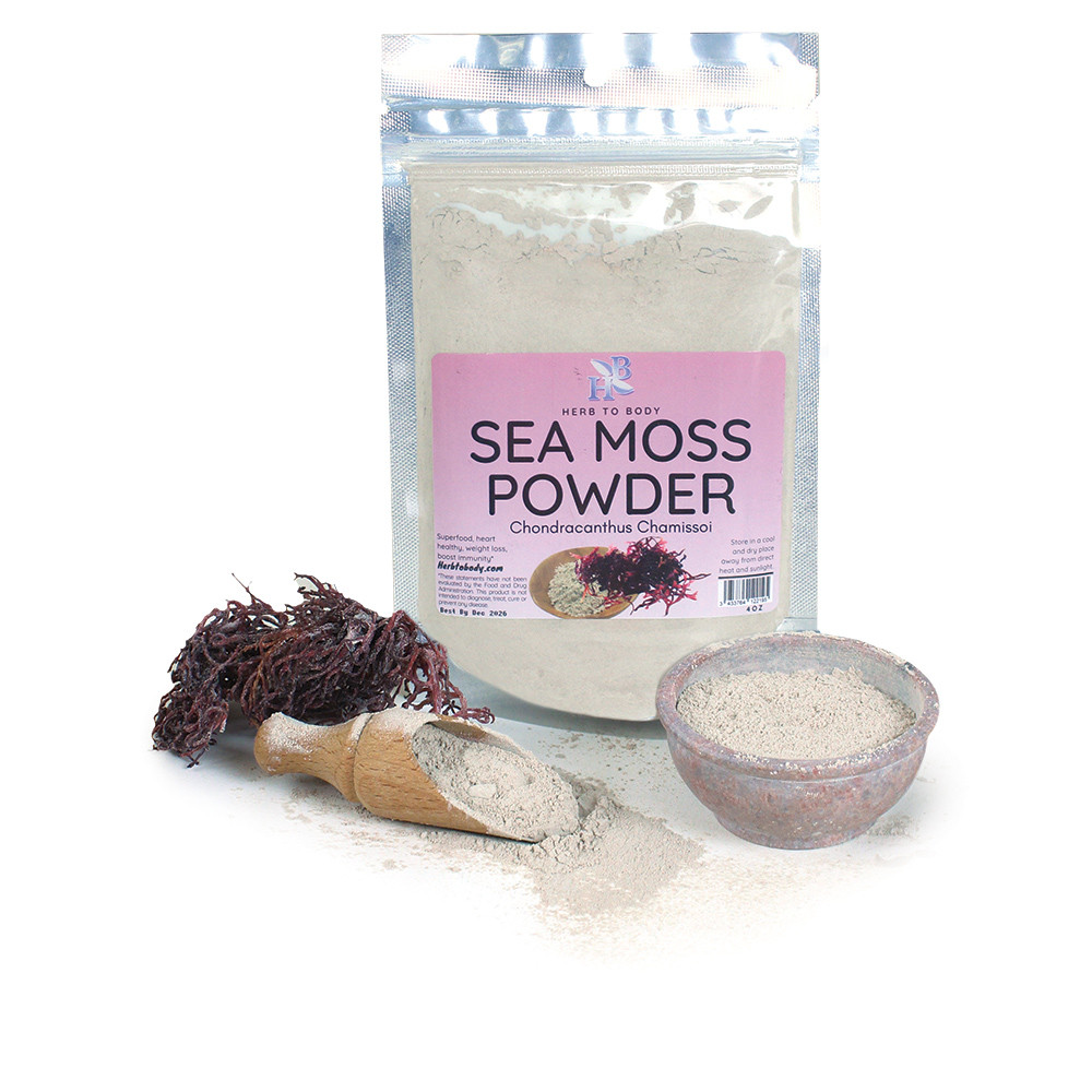 Irish Moss Powder - 4 oz. - Herbal Remedies & Edibles