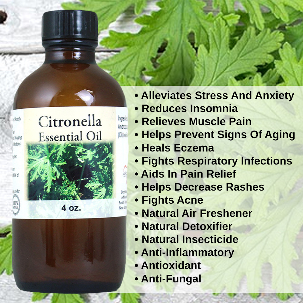 Citronella Essential Oil - 1 oz. - Essential Oils - African Beauty ...
