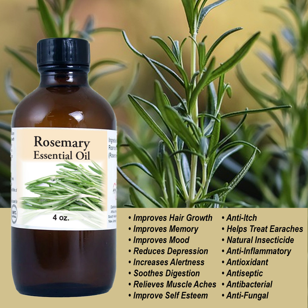 Rosemary Essential Oil: 4 oz. - Essential Oils - African Beauty ...