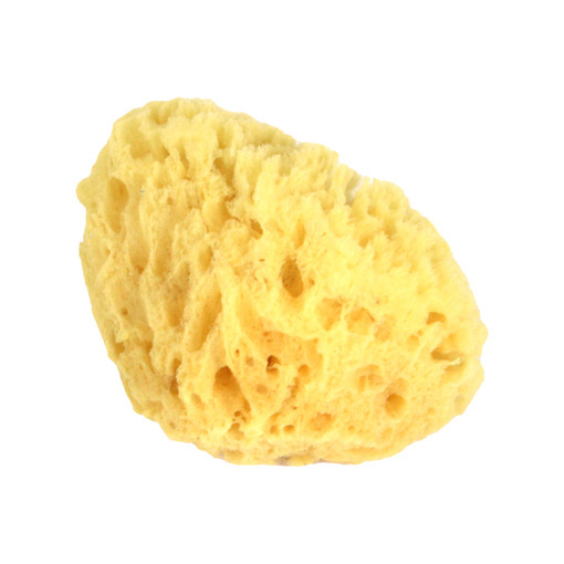 Dead Sea Natural Sponge - Beauty Accessories | Africa Imports