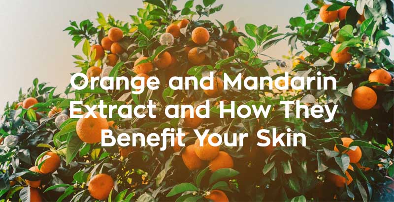 Orange and Mandarin Extract and How They Benefit Your Skin - Africa Imports