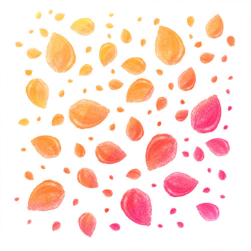 Flowers - Rose Petal - iPad Lettering