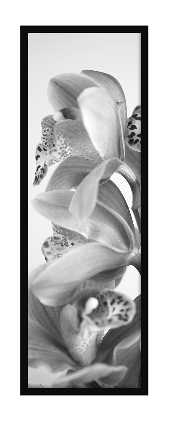 Vernon Gallery Frame, 16"x20", Black - Fisher Hawaii