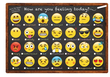 Dry Erase Emoji Feelings Chart - Fisher Hawaii