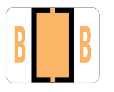 End Tab Filing Labels, 1" x 1-1/4", Light Orange, (Letter) B, 500 Labels