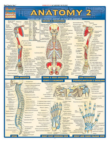QuickStudy® Reference Guide, Anatomy 2 - Fisher Hawaii