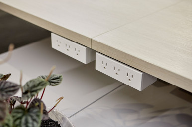 Under-the-Table Power Module (3 Plugs)