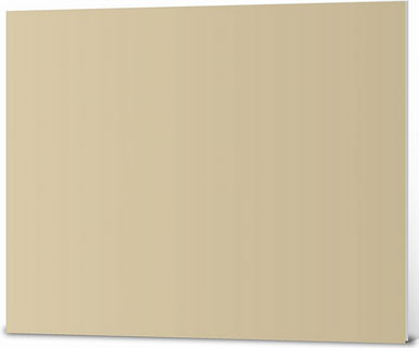 Foam Board, 20" x 30", Tan - Fisher Hawaii