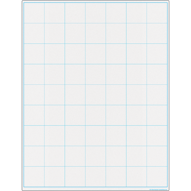 Graphing Grid Large Squares Write-On/Wipe-Off Chart - Fisher Hawaii