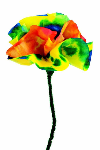 COLOR DIFFUSING PAPER - 9" - Fisher Hawaii