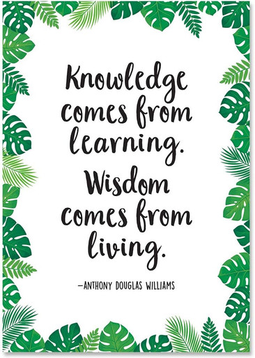 Creative Teaching Press Palm Paradise Knowledge Comes from Learning ...