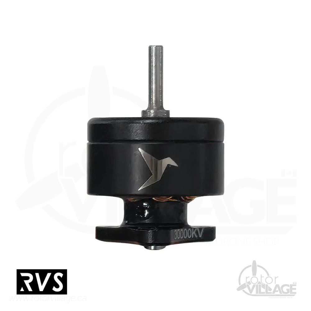 NewBeeDrone Hummingbird 0702 True 30000kv RaceSpec Motor (4pcs) - Rotor ...