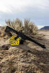 12Hammer 12GA Semi-Auto Shotgun