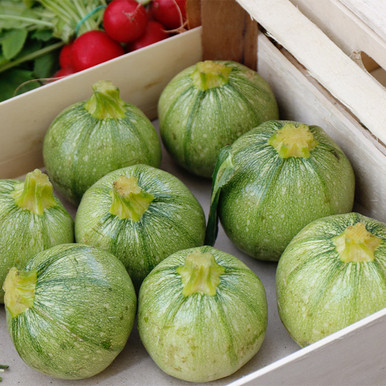 Round Marrows per kg