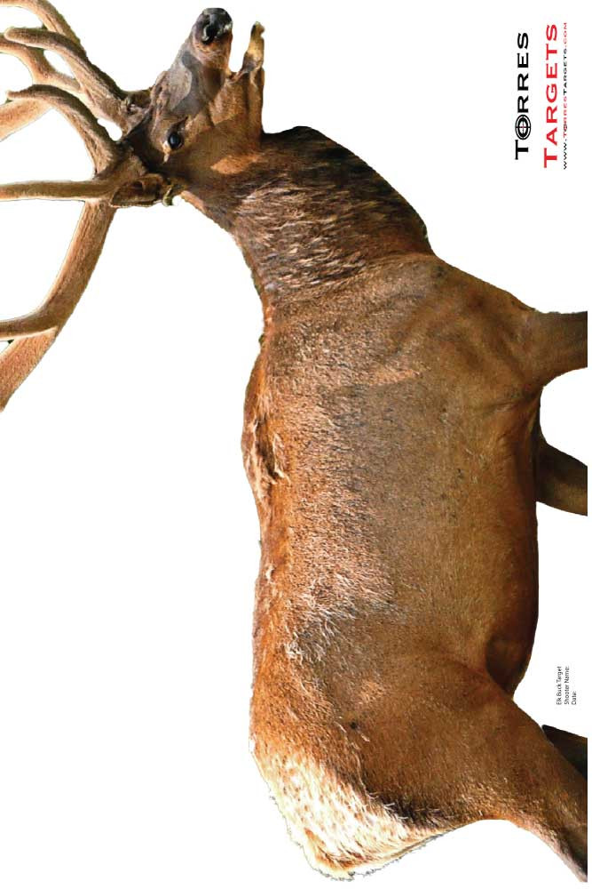 Elk Paper Shooting Target