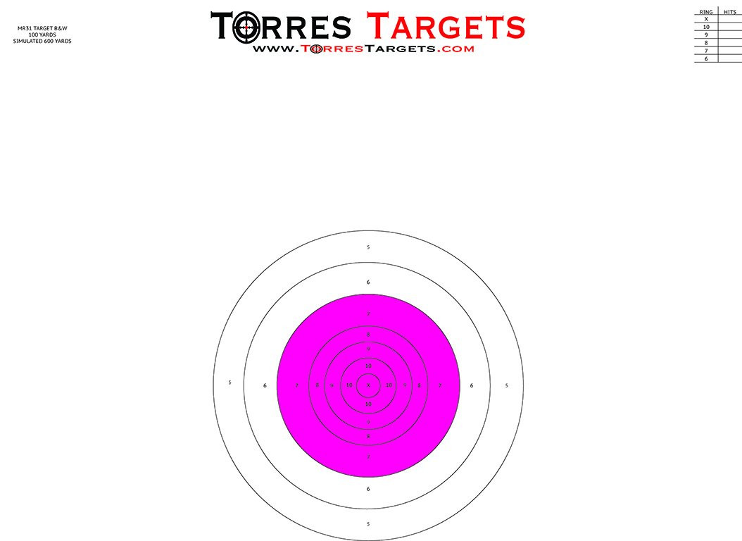 MR31 Style Bullseye Paper Shooting Target Pink from TorresTargets.com