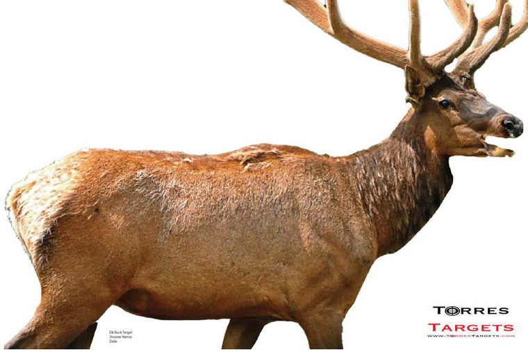 Elk Paper Shooting Target