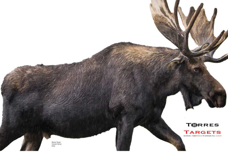 Moose Paper Shooting Target