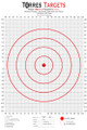 Sighting in Target 20" x 32" inch grid with bullseye.