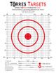 Sighting in Target 20" x 32" inch grid with bullseye.