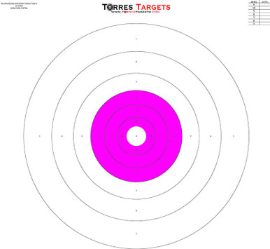 B6 Style Bullseye Target Pink from TorresTargets.com