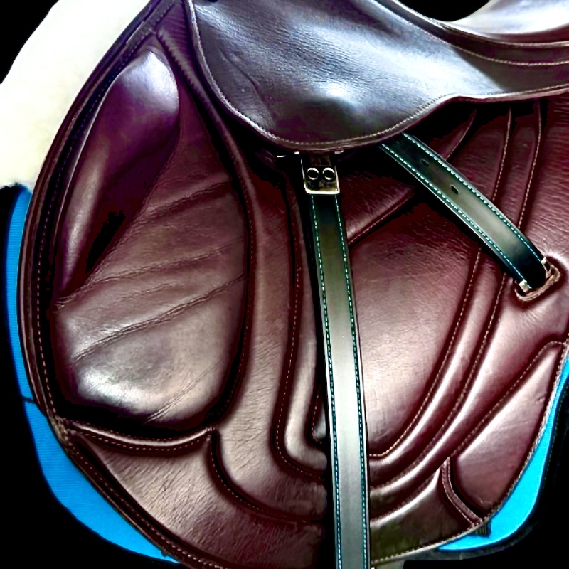 Lojic Biothane Stirrup Straps –Classic Colors - Anti-Stretch ...
