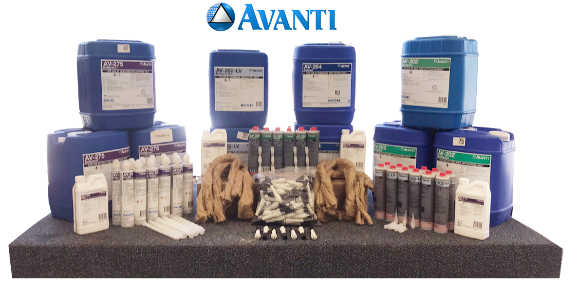 Avanti International available at Georgia Underground
