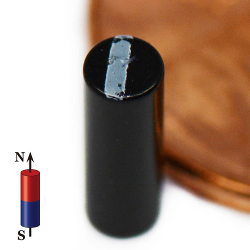 N52 Epoxy NdFeB Magnet 1/8"x3/8" - High Power & Durability