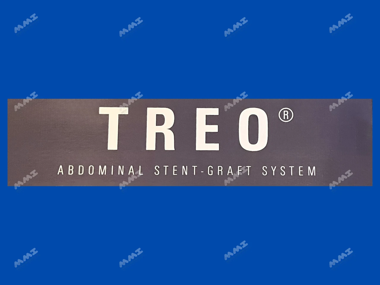 TREO Abdominal Stent Graft System - Leg - 13Fr x 15mm x 80cm