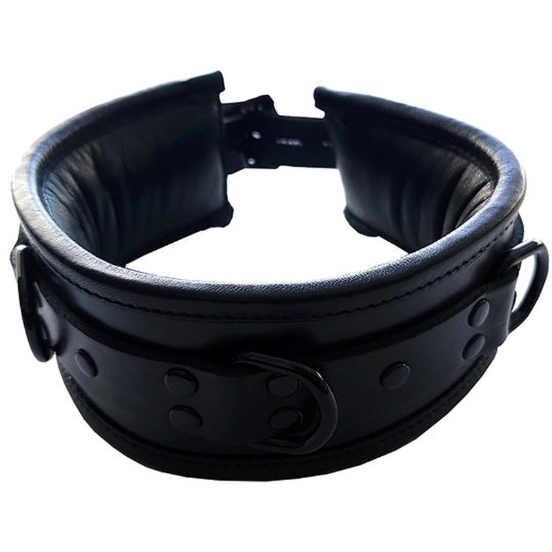 Rouge Leather Padded Collar Black with Black Accessories